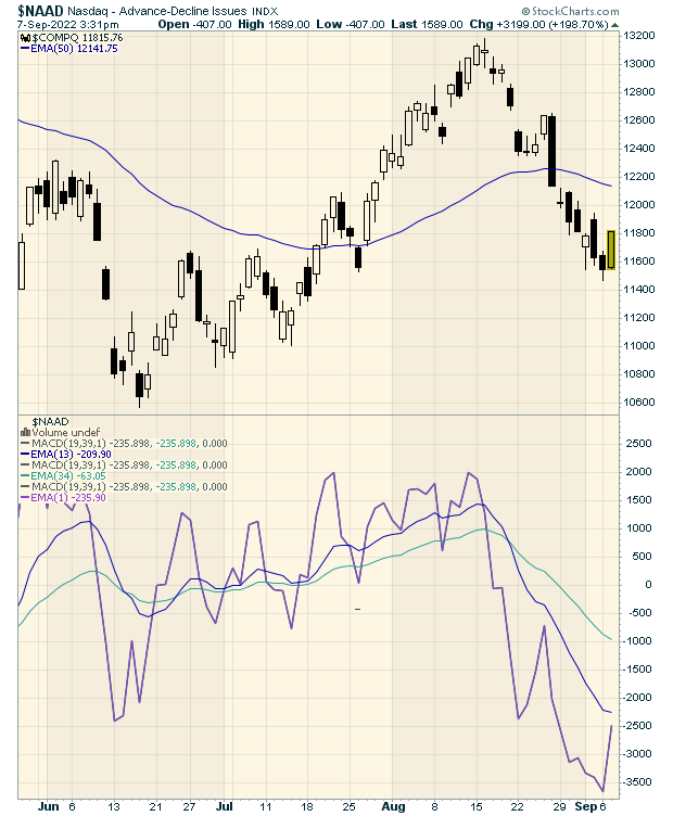 September 7, 2022- Intraday – SevenSentinels.com